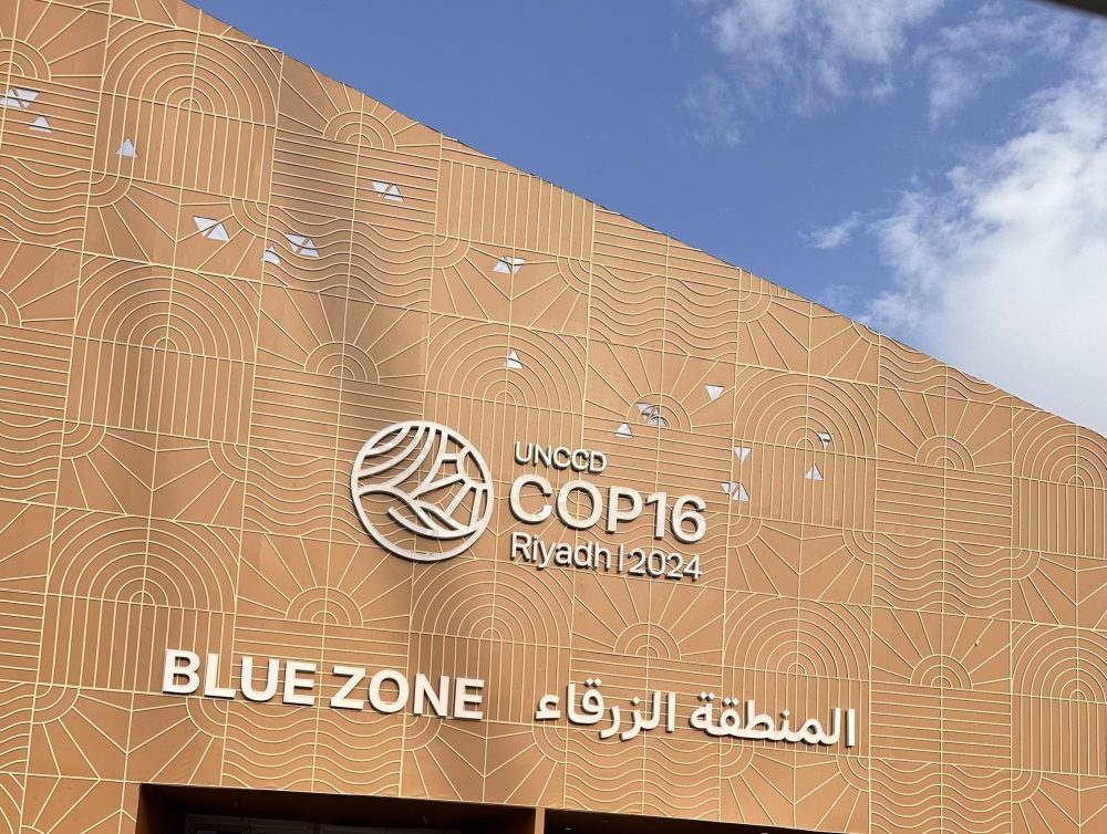 5 takeaways from UNCCD COP16 in Riyadh - Sustainability Online