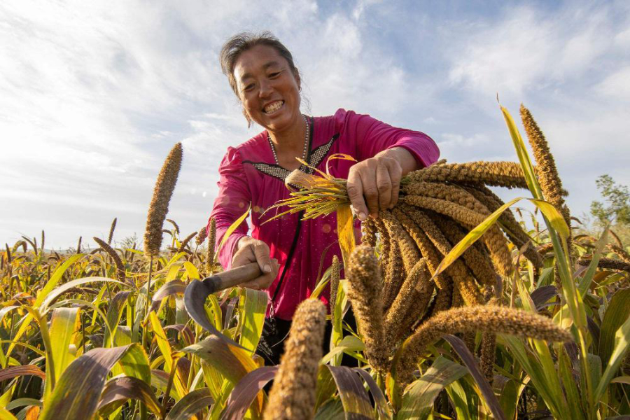 IFAD announces agricultural development project in China ...