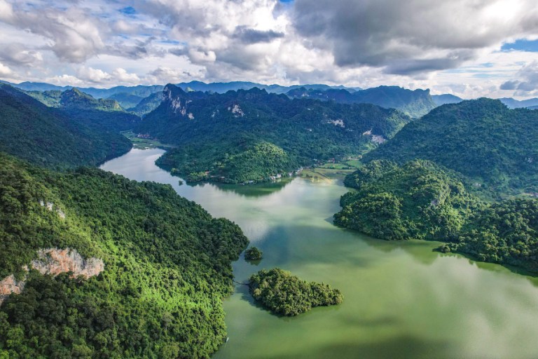 Global forest loss rose to ‘record highs’ in 2024, data shows ...